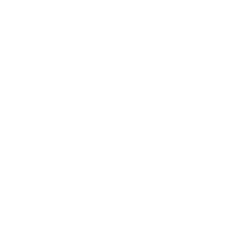 The Alan J. Anderson Foundation